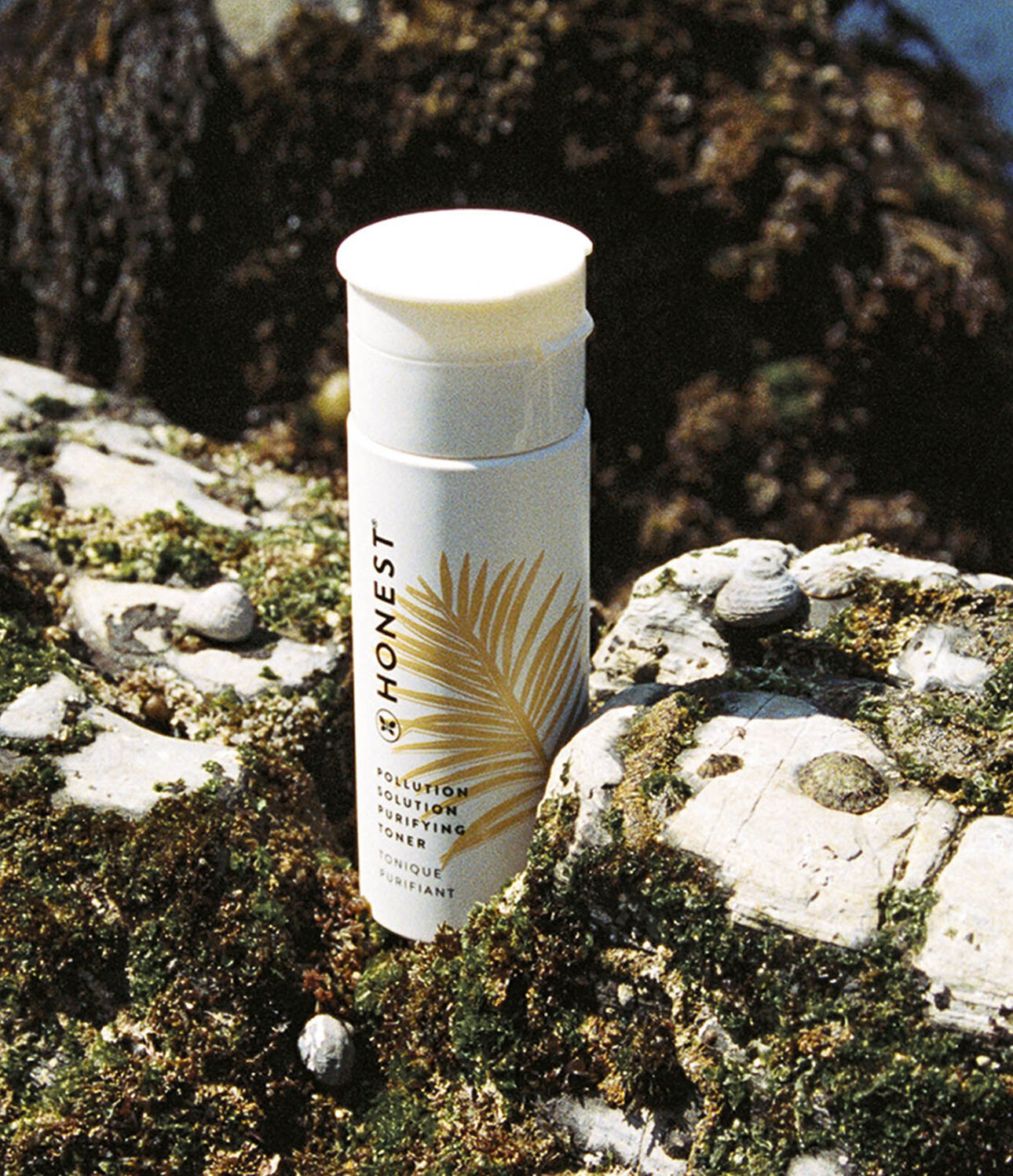 What Does Toner Do & Why Should You Use It? | Honest