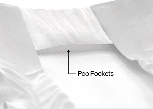 Clean Conscious Seasonal Diaper Prints | The Honest Company