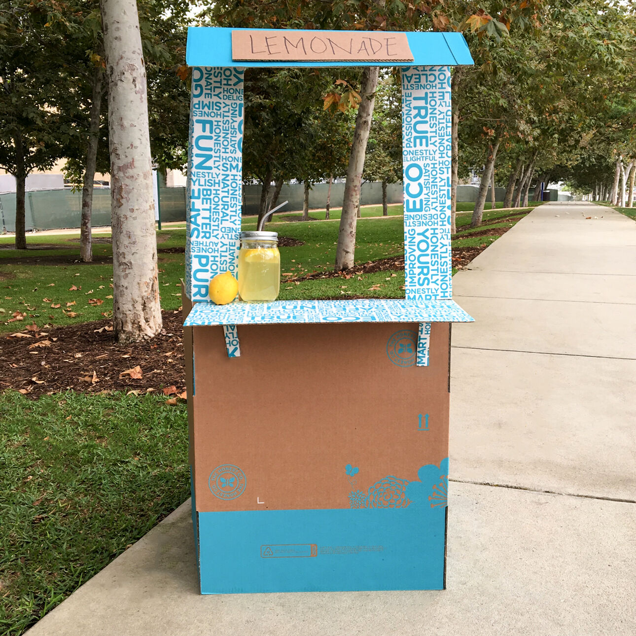 Fresh Squeezed Fun Diy Lemonade Stand Honest