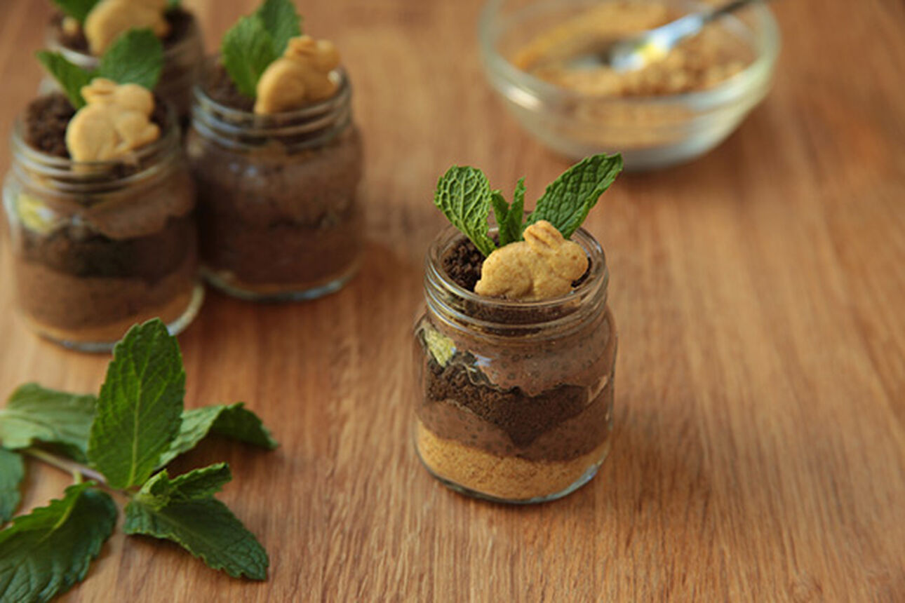 Sustainable Snacking: Chocolate Chia Seed Pudding for Earth Day | Honest